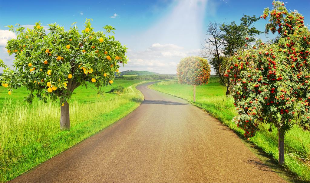 Thought of the Day - Third Church of Christ, Scientist, NYC